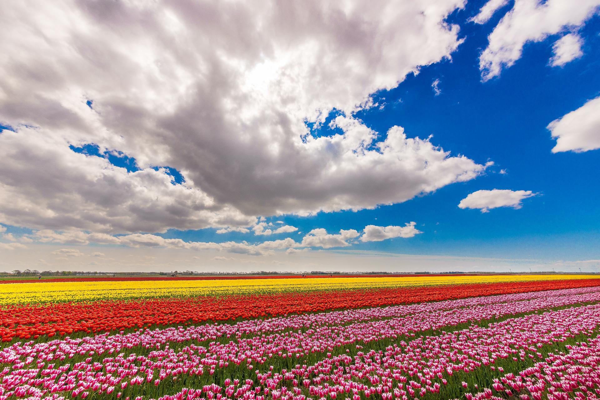 Minimum Salaries in the Netherlands for 2024 - Blog - Europa.jobs