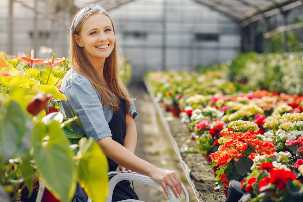 How to Find Your First Job in the Netherlands Without Work Experience ...